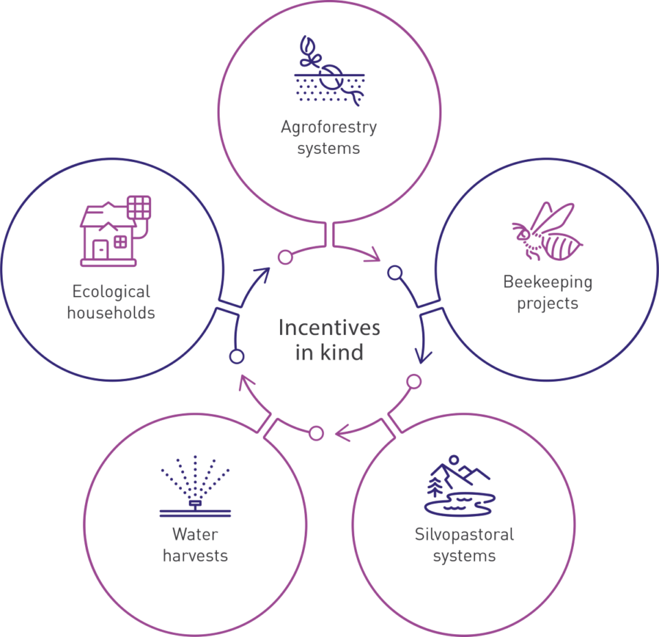 E – Environment – Ecopetrol – Integrated Sustainable Management Report 2021